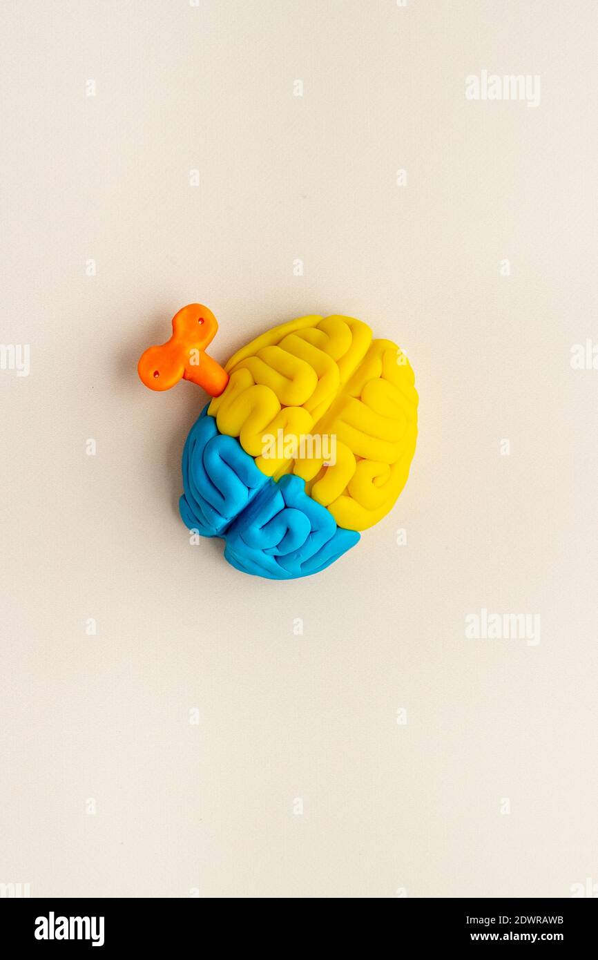 Ideas concept. Work of brain - model made of colorful clay, top view ...
