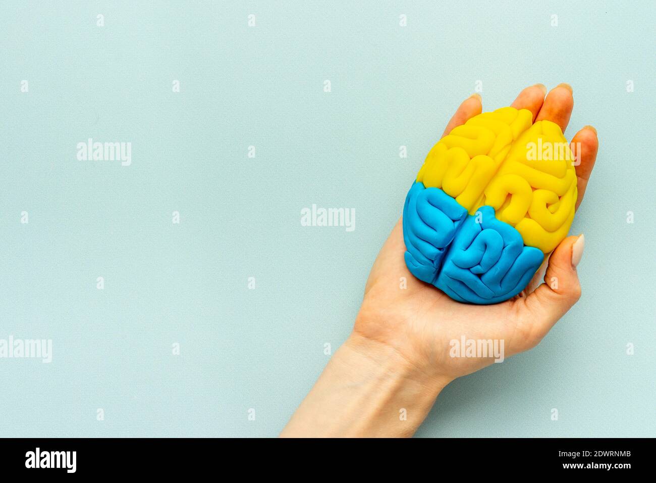Idea concept. Use your brain. Model of clay in the hand, top view Stock ...