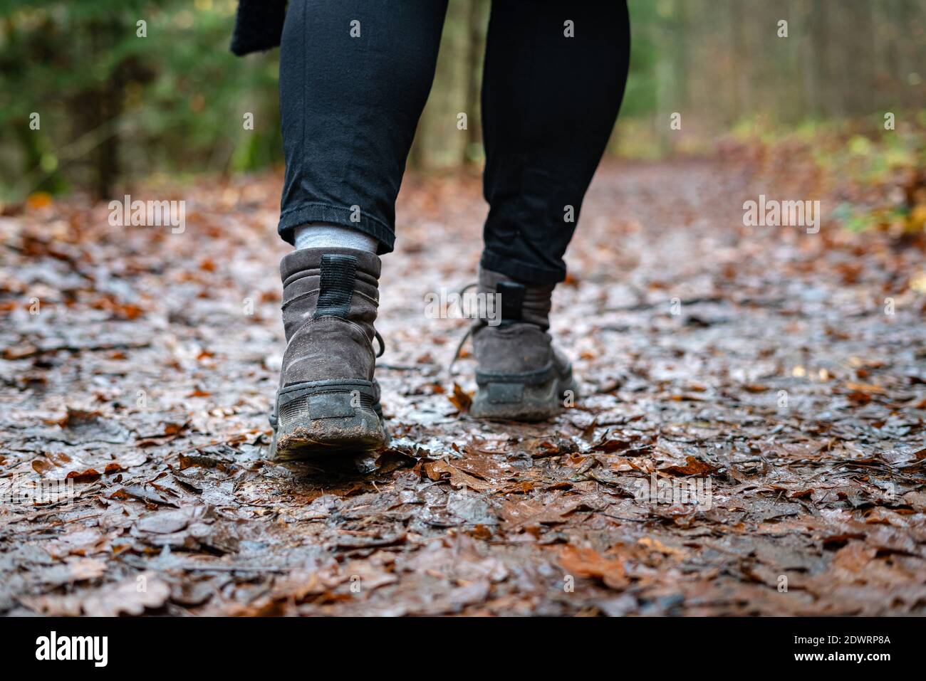 Hiker walking down footpath hi-res stock photography and images - Alamy