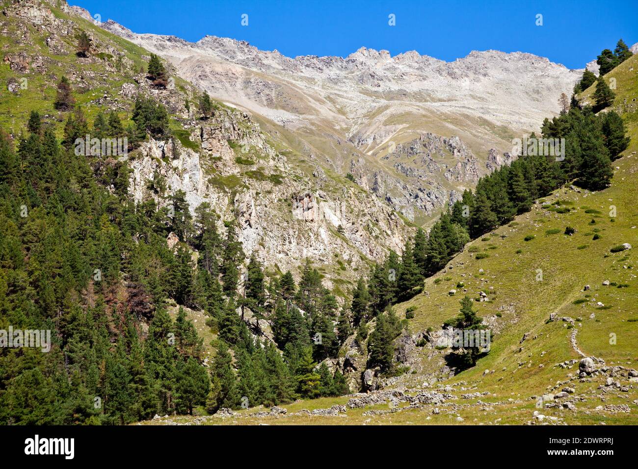 Mountain landscape at noon. Beautiful mountain landscape with trees at ...