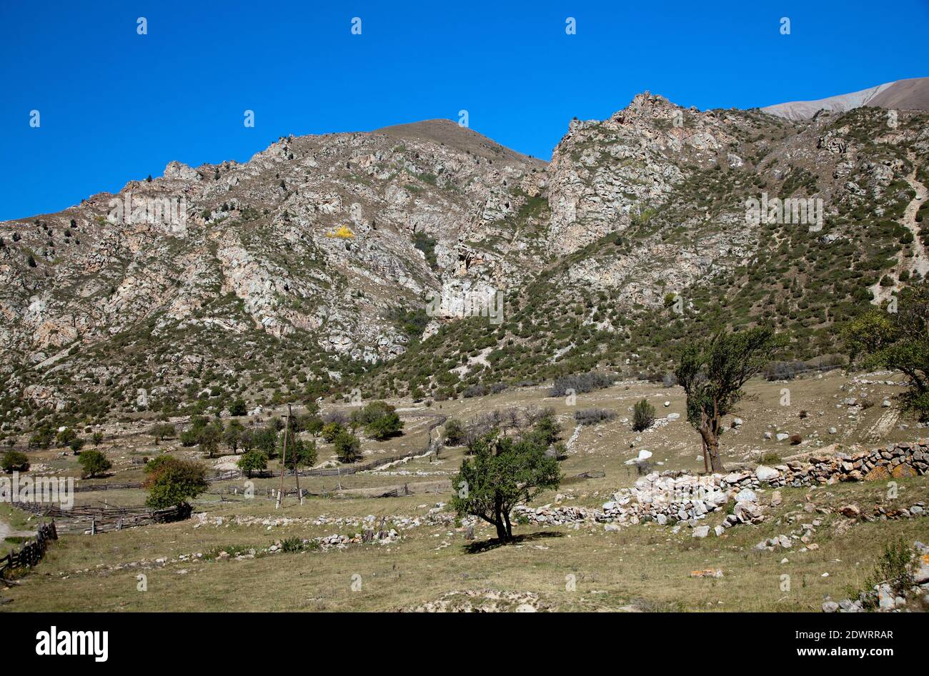 Mountain landscape at noon. Beautiful mountain landscape with trees at ...