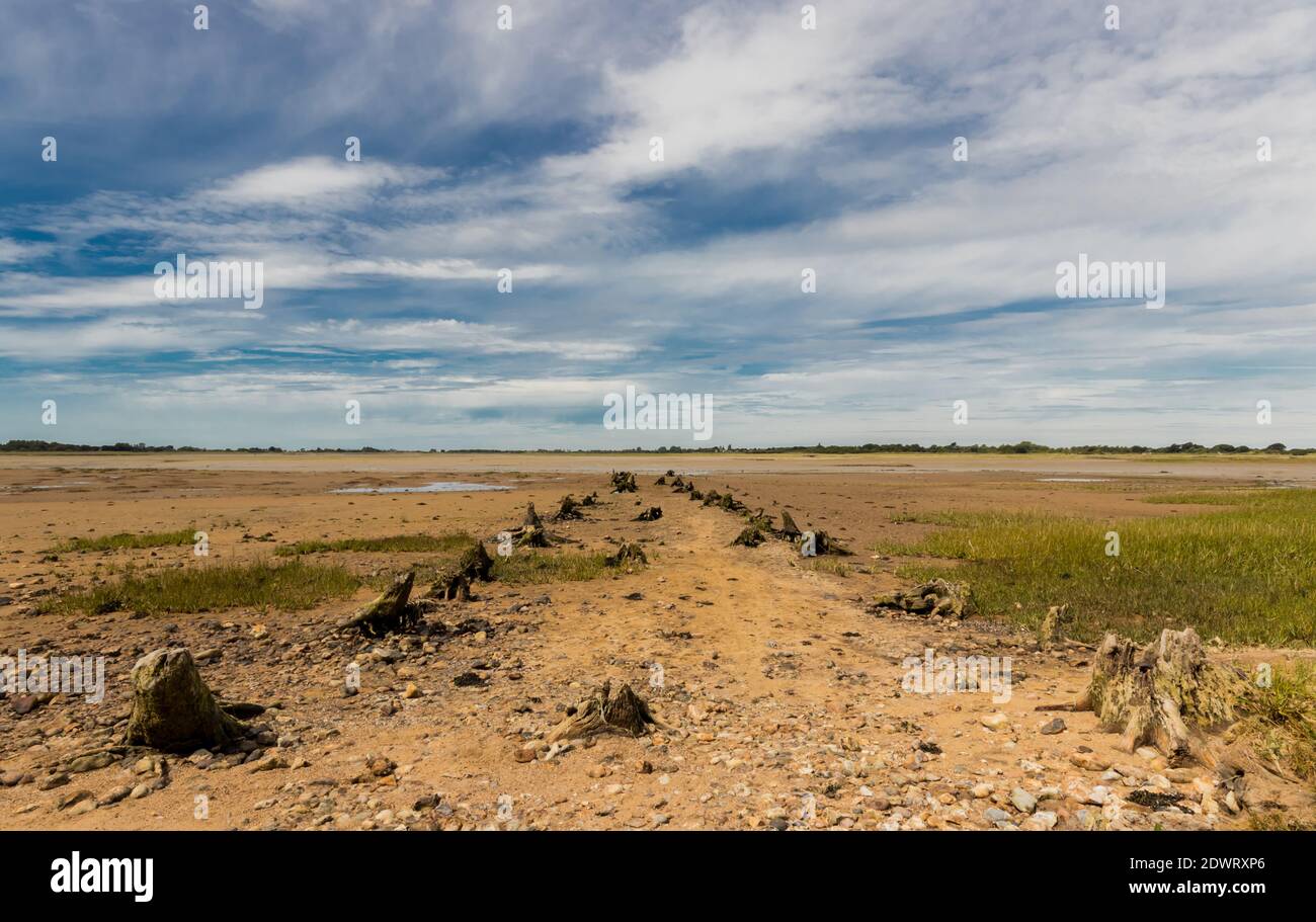 Pagham Harbour nature reserve, Chichester, West Sussex, UK Stock Photo ...