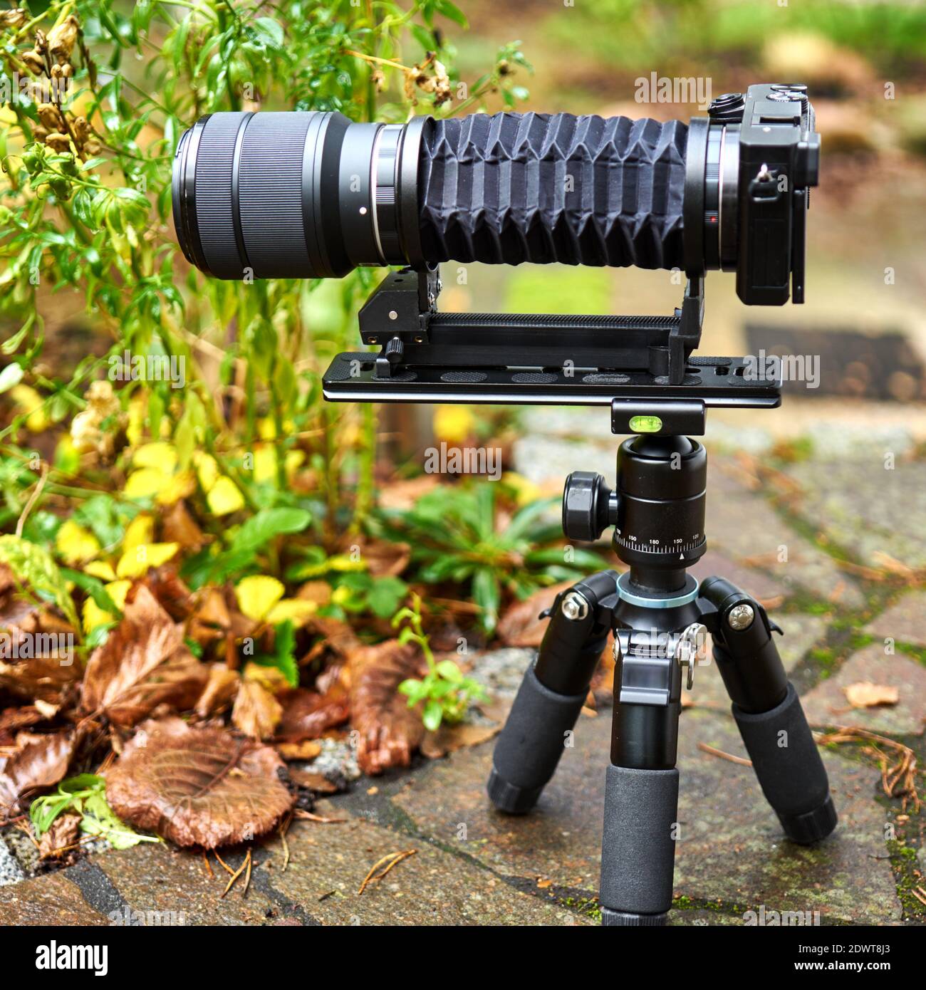 Digital camera with bellows and zoom lens on a pocket tripod, macro ...