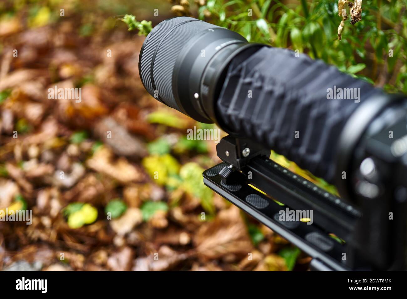 Scale focus camera hi-res stock photography and images - Alamy