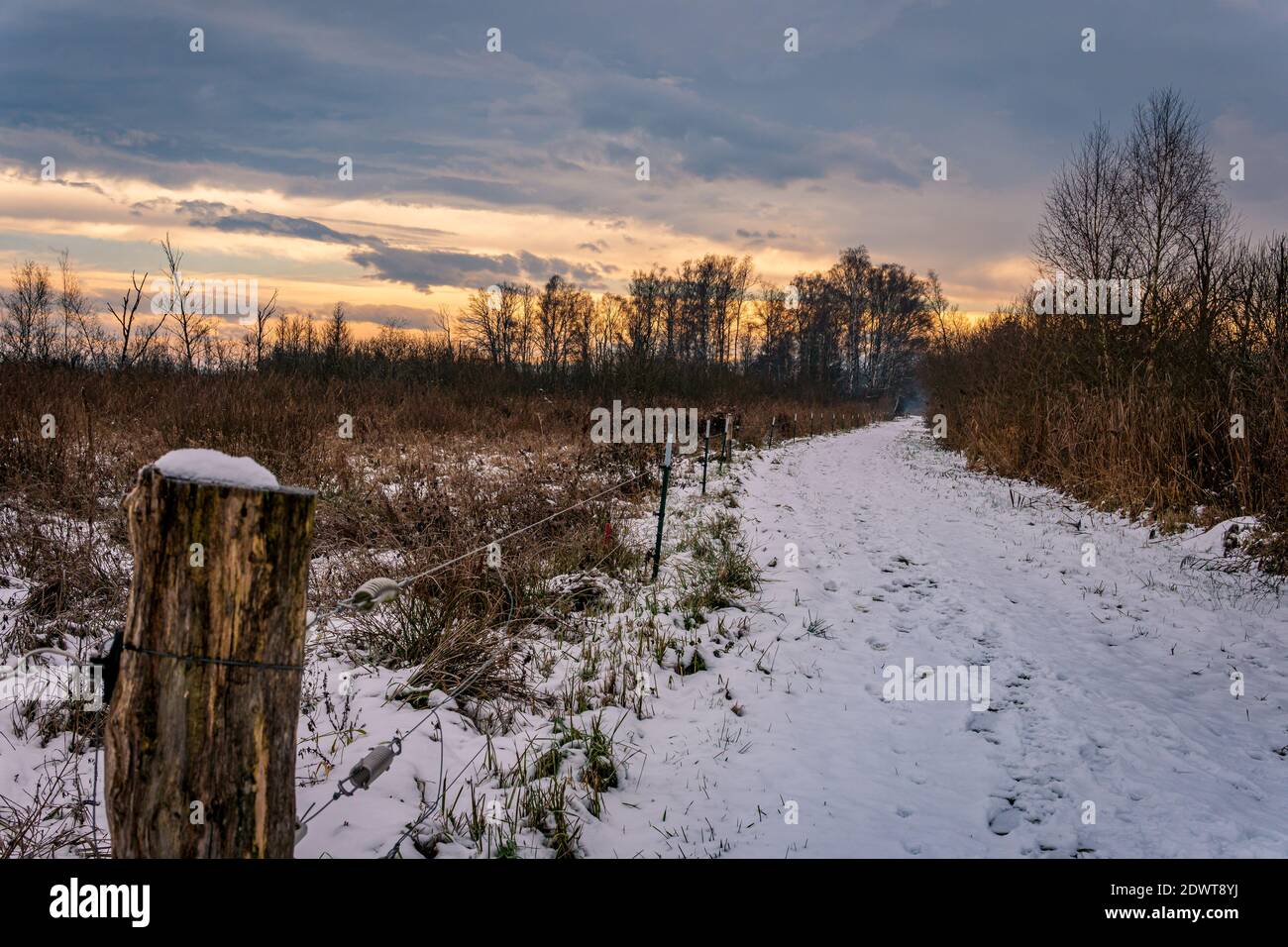 Winter hike through the Pfrunger Ried to the Bannwald Tower near ...