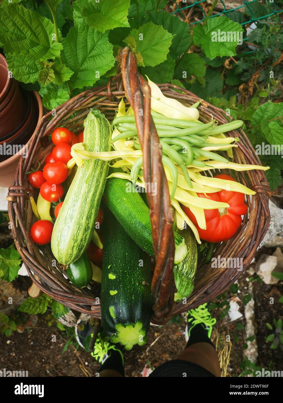 Fresh Vegetables In Basket Stock Photo - Alamy