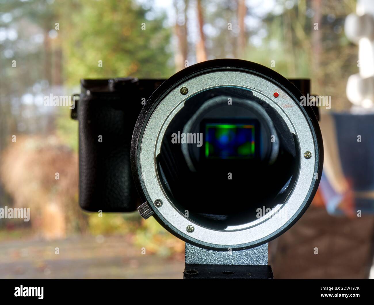 View through the front opening of a bellows device to the far open ...