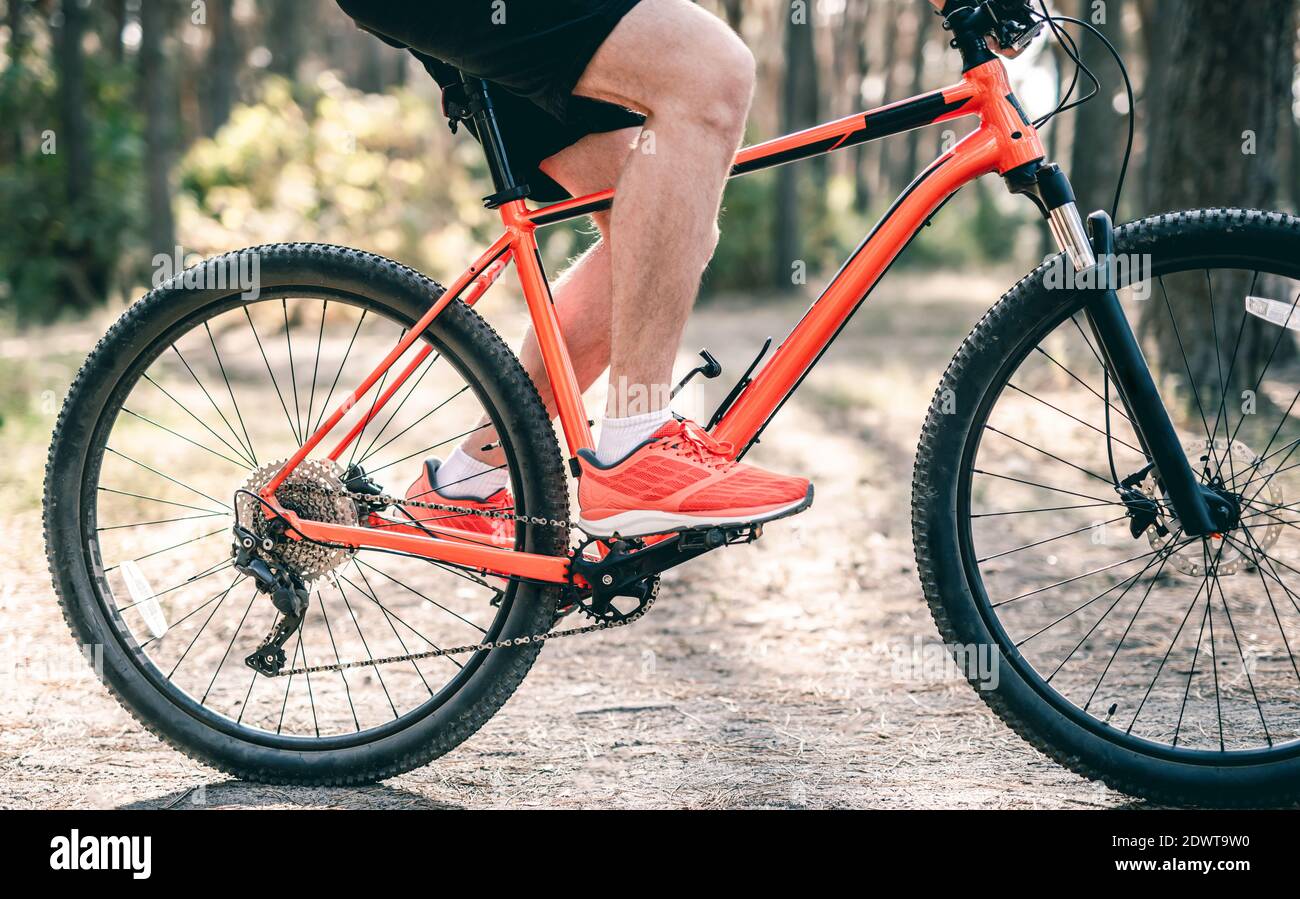 Man bicycle path forest hi-res stock photography and images - Alamy
