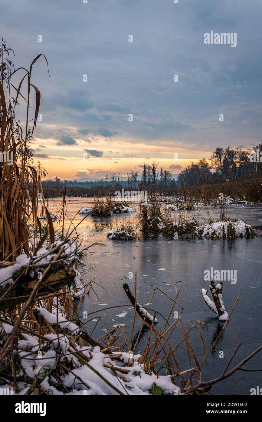 Winter hike through the Pfrunger Ried to the Bannwald Tower near ...