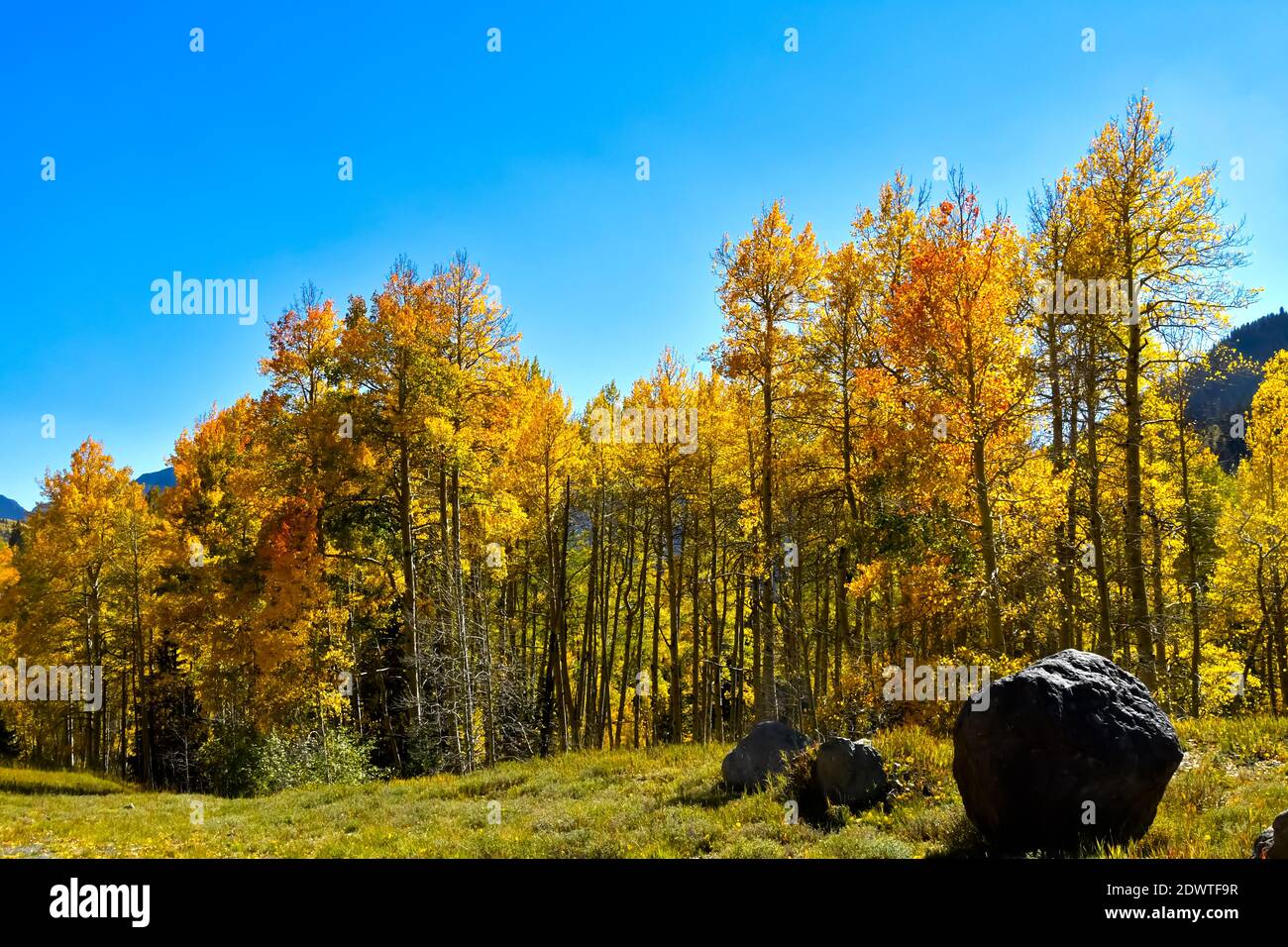 Fall Colors on the San Juan Skyway in Colorado Stock Photo - Alamy