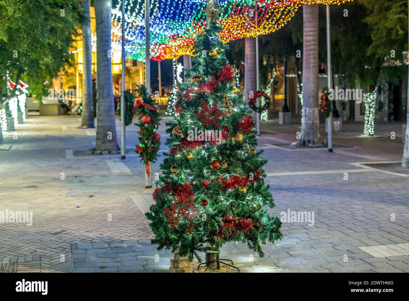 Colorful christmas light decorations on the eve of christmas day on the ...