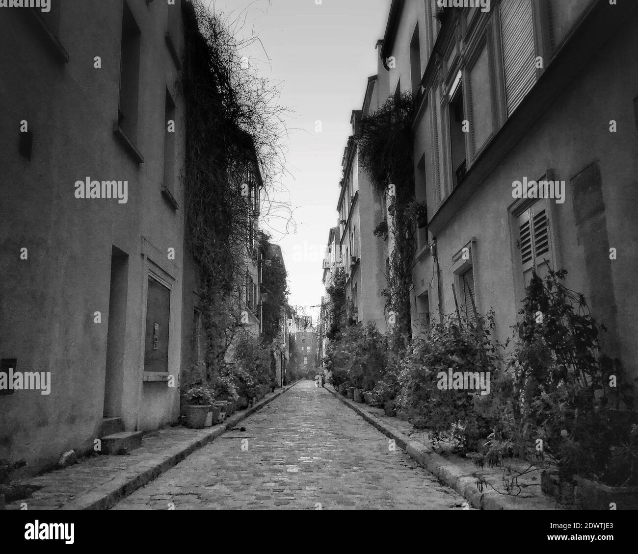 Long narrow street paris hi-res stock photography and images - Alamy