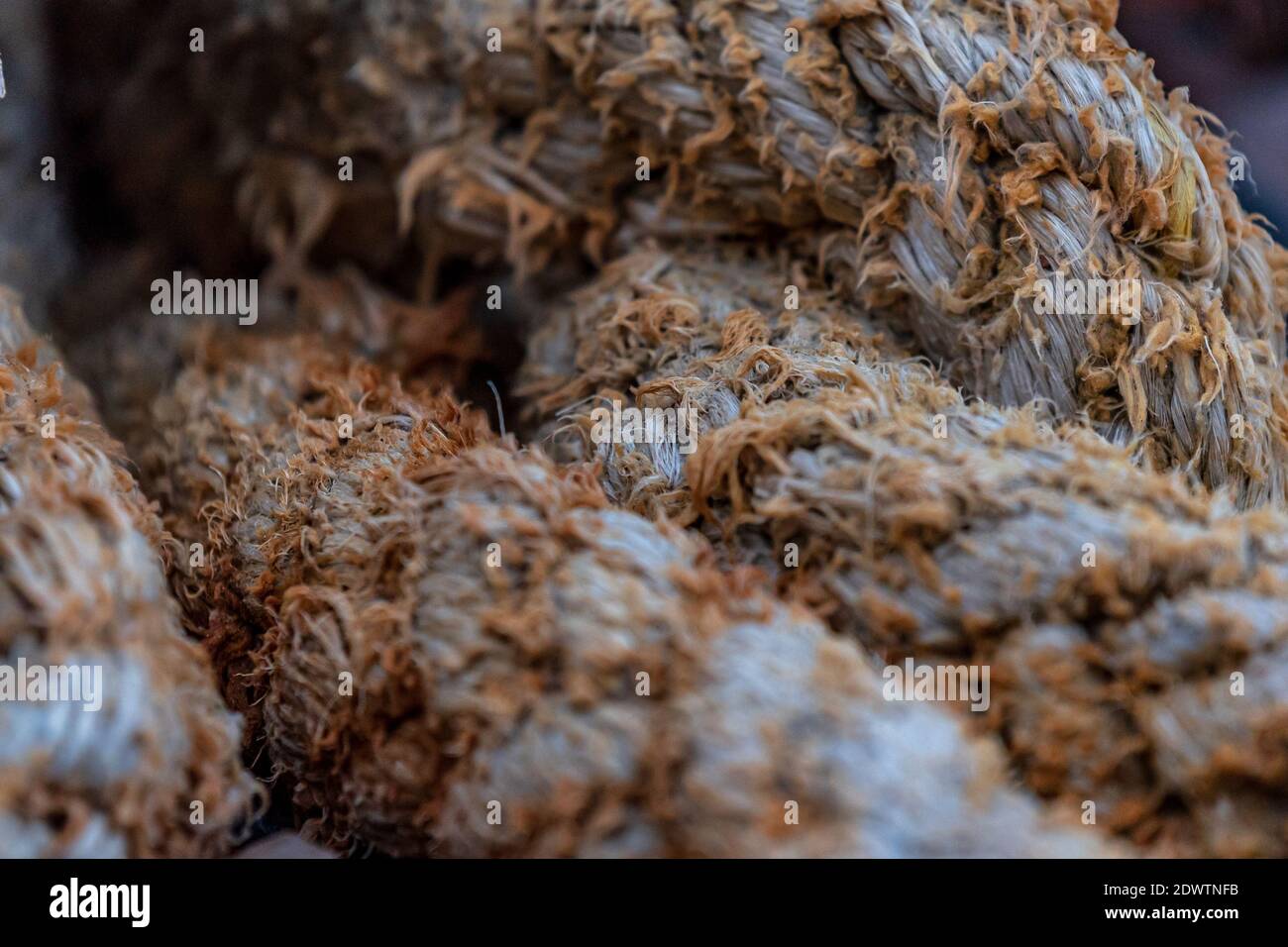 the thick ropes of the ships were washed ashore on the sea shore ...