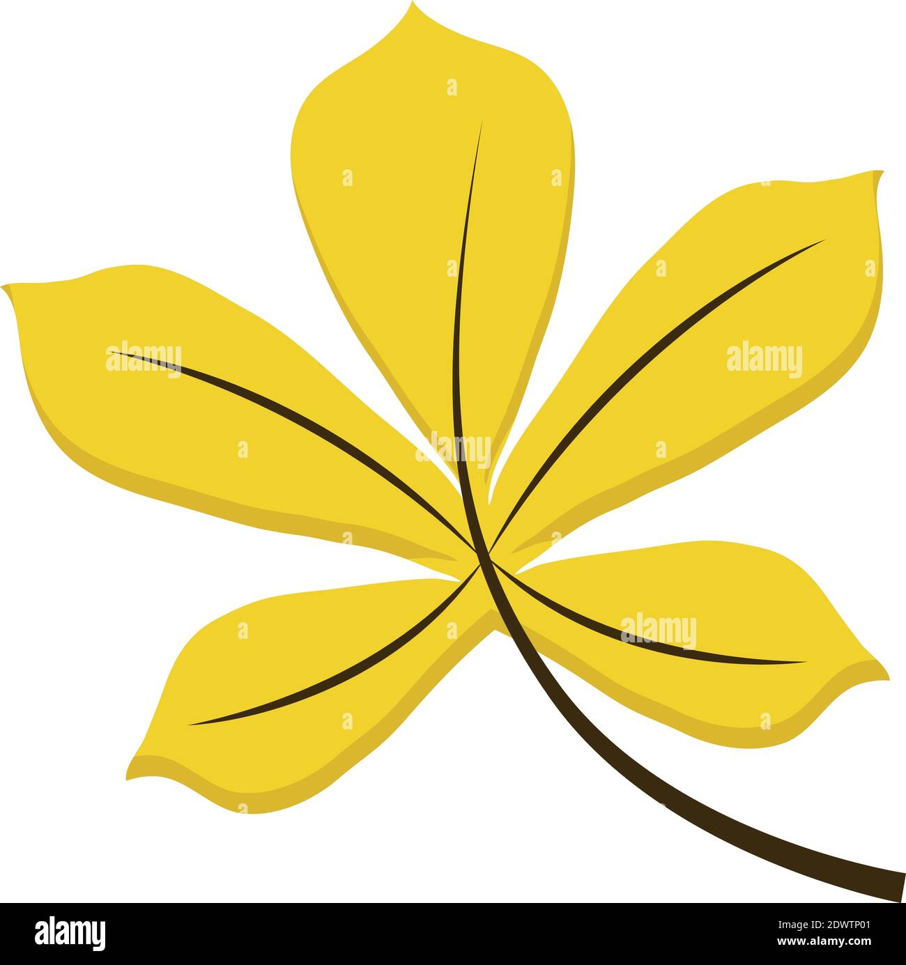 leaf-with-webbed-form-flat-style-stock-vector-image-art-alamy