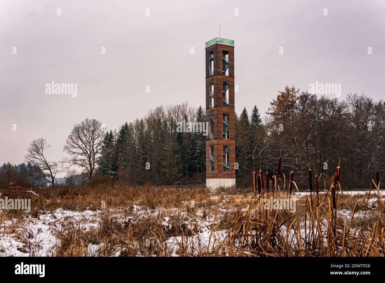Winter hike through the Pfrunger Ried to the Bannwald Tower near ...