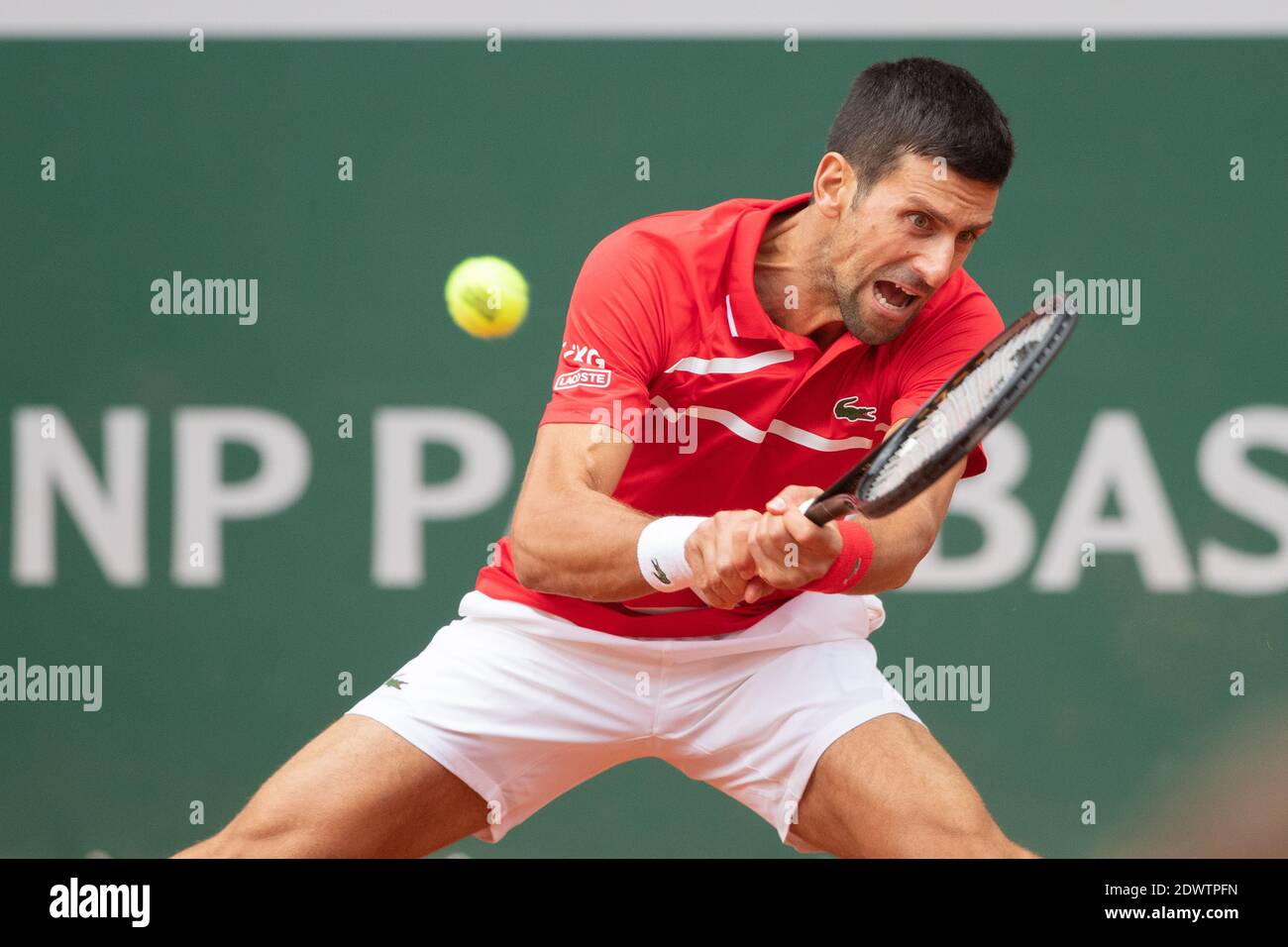 Professional sportsperson sport holding tennis racquet playing court ...