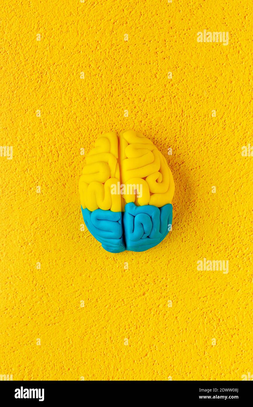Mental health concept. Human brain of colorfull clay, top view Stock ...
