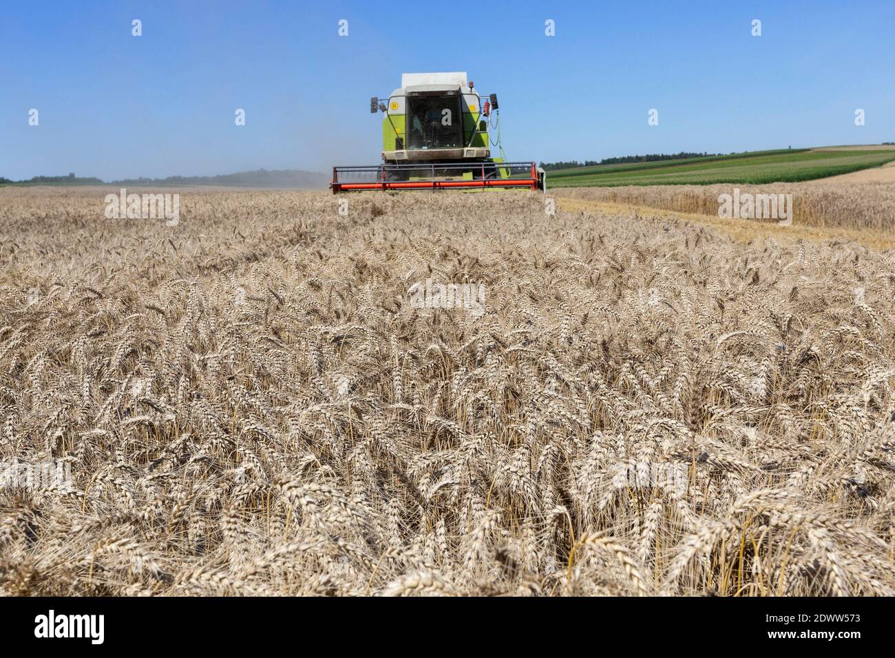 Getreideernte ernte hi-res stock photography and images - Alamy