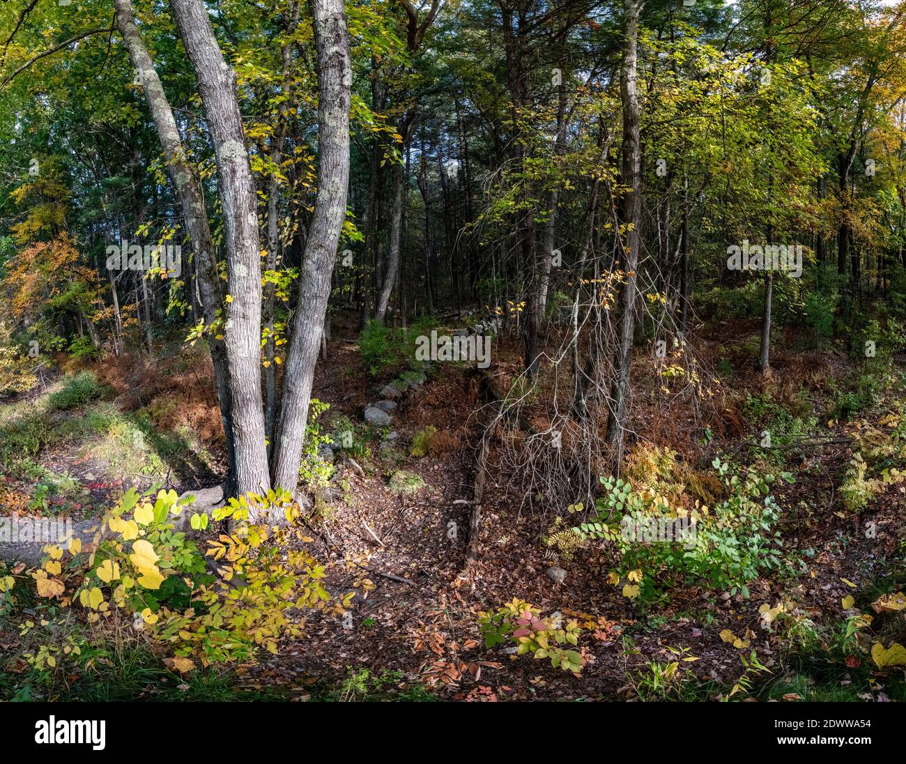 Bruce freeman trail hi-res stock photography and images - Alamy