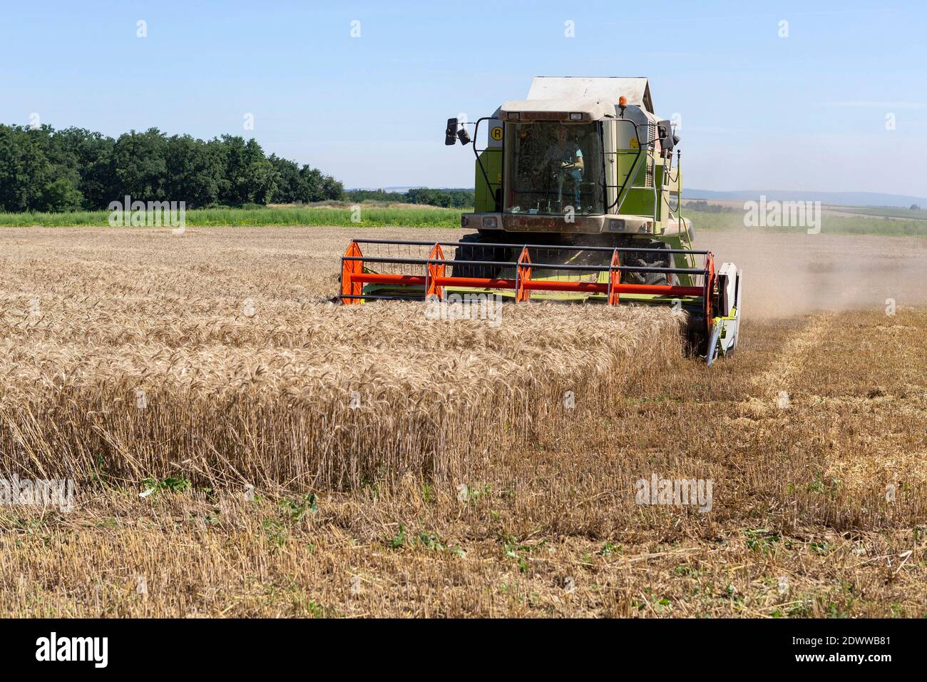 Getreideernte hi-res stock photography and images - Alamy