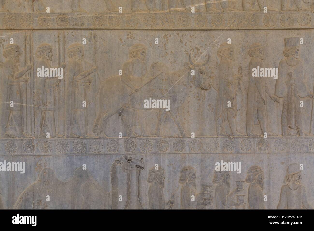 Bas relief on the wall of ruins in the Persepolis in Shiraz, Iran. The ...