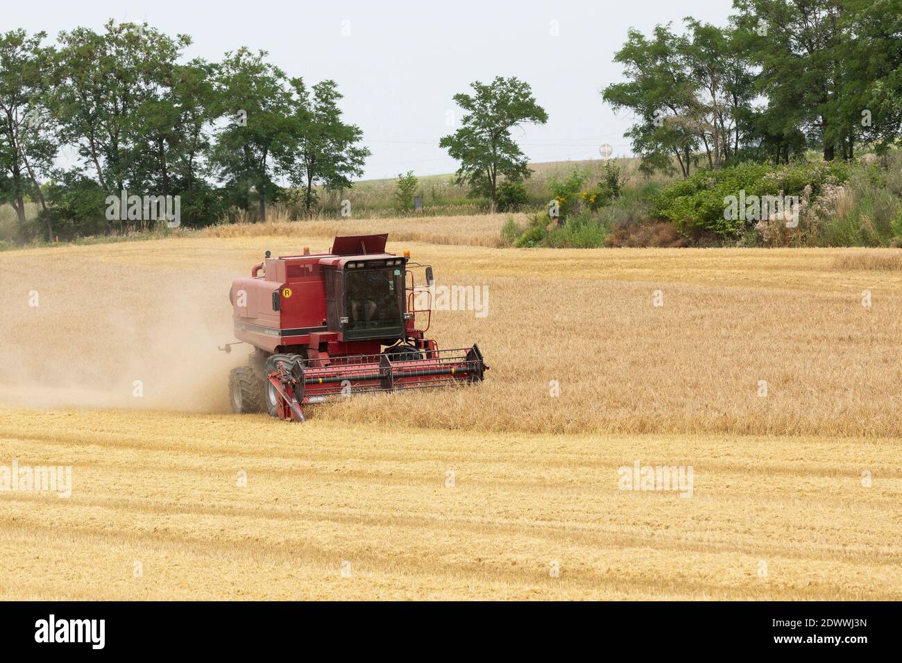 Getreideernte hi-res stock photography and images - Alamy
