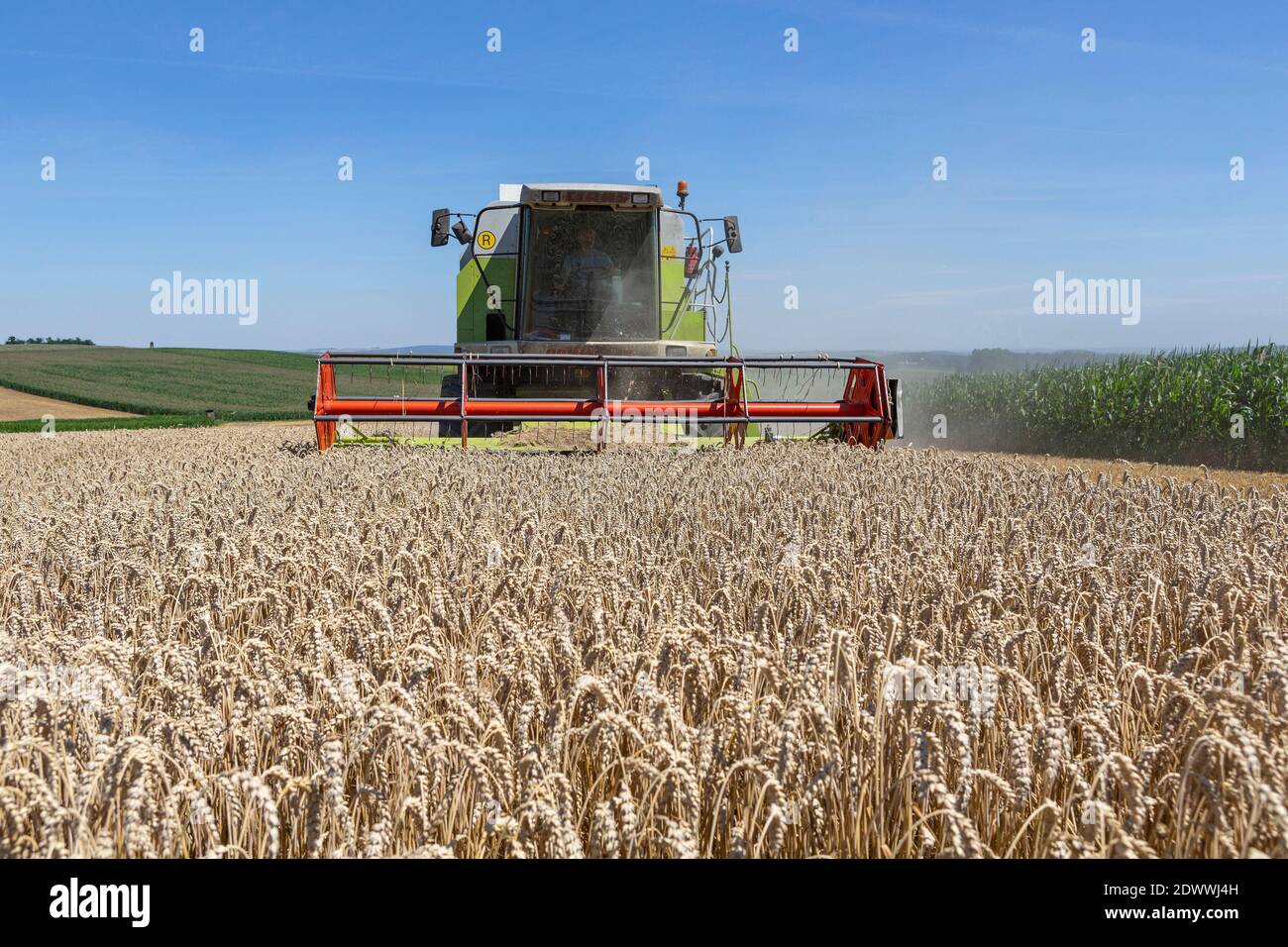 Getreideernte hi-res stock photography and images - Alamy