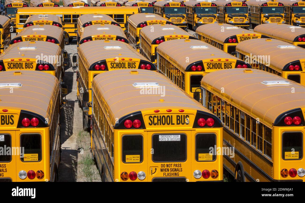 Canadian yellow school buses hi-res stock photography and images - Alamy