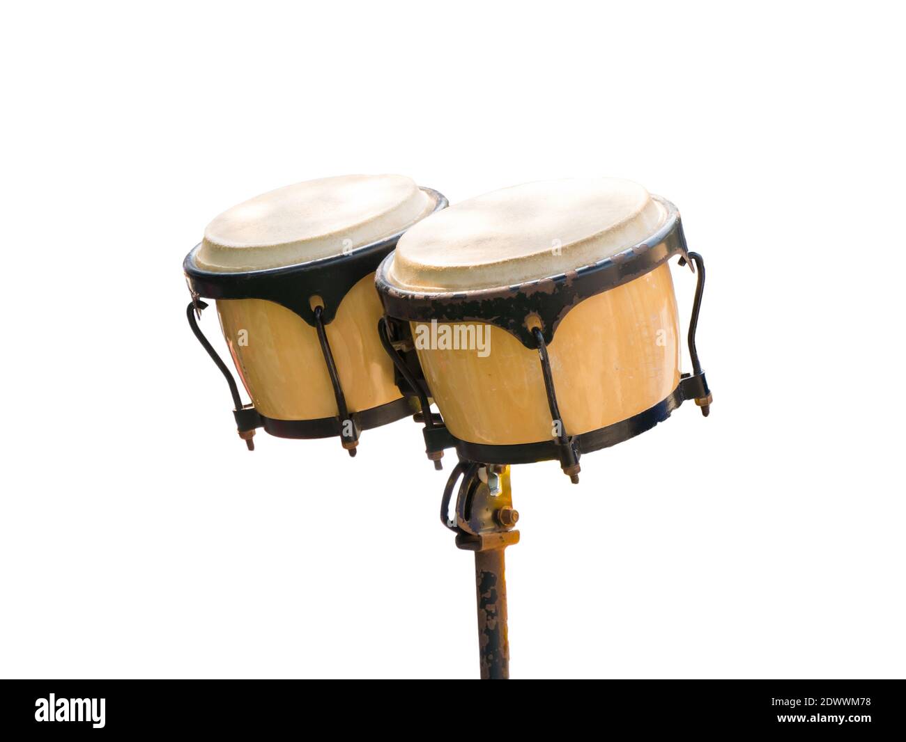 Close-up Of Bongo Against White Background Stock Photo - Alamy