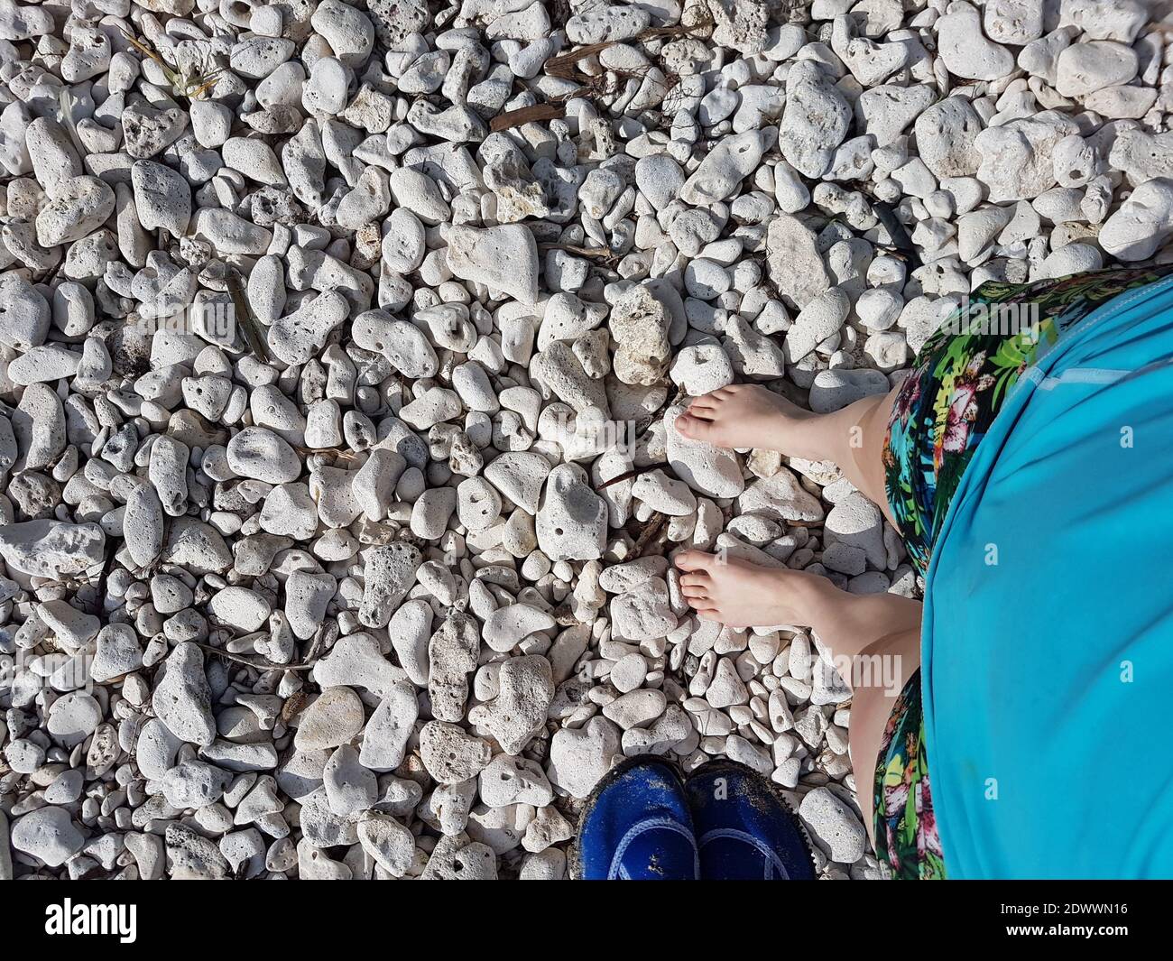 Slipper stones hi-res stock photography and images - Alamy