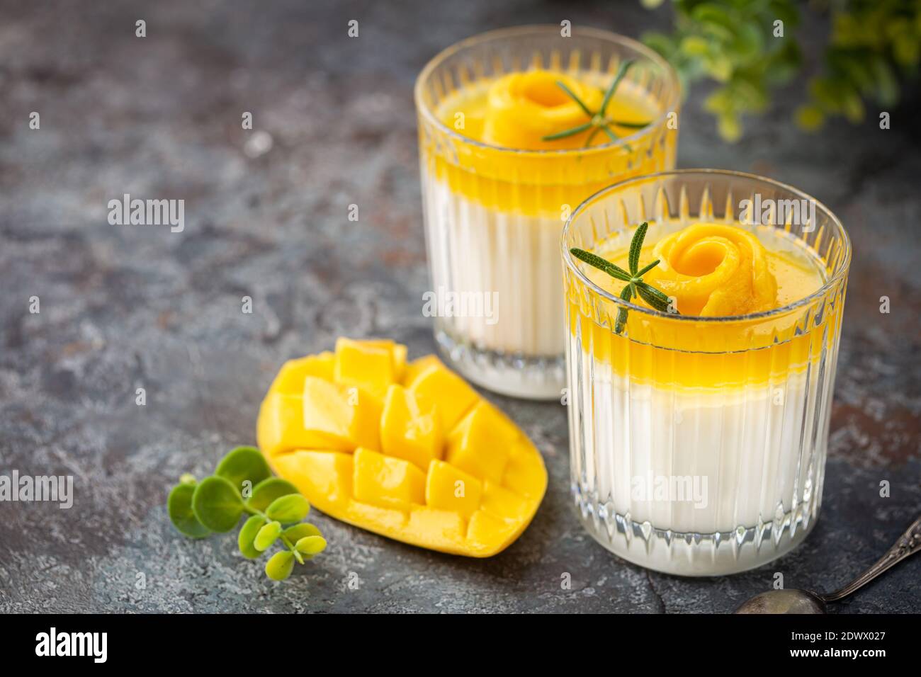 Italian dessert panna cotta with mango in glass on gray background ...