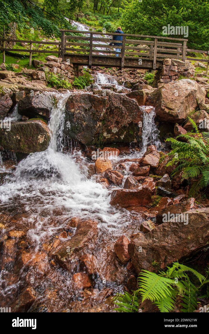 Lake district Cumbria Buttermere vertical trees waterfall Scale Force ...