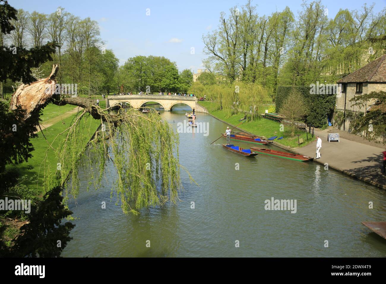 Punters close hi-res stock photography and images - Alamy