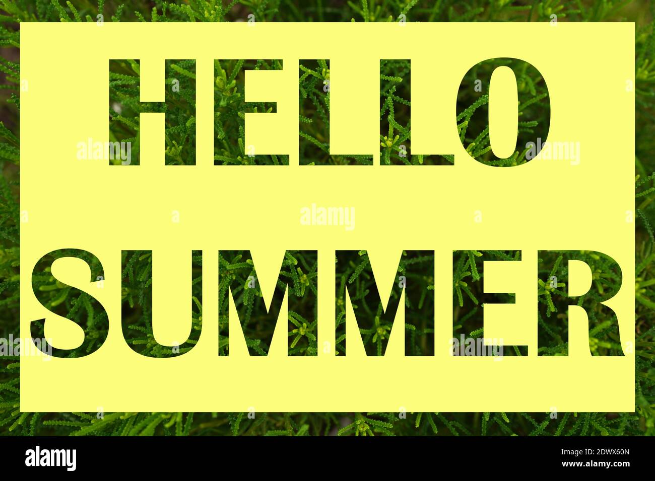 Hello summer text leaves hi-res stock photography and images - Alamy