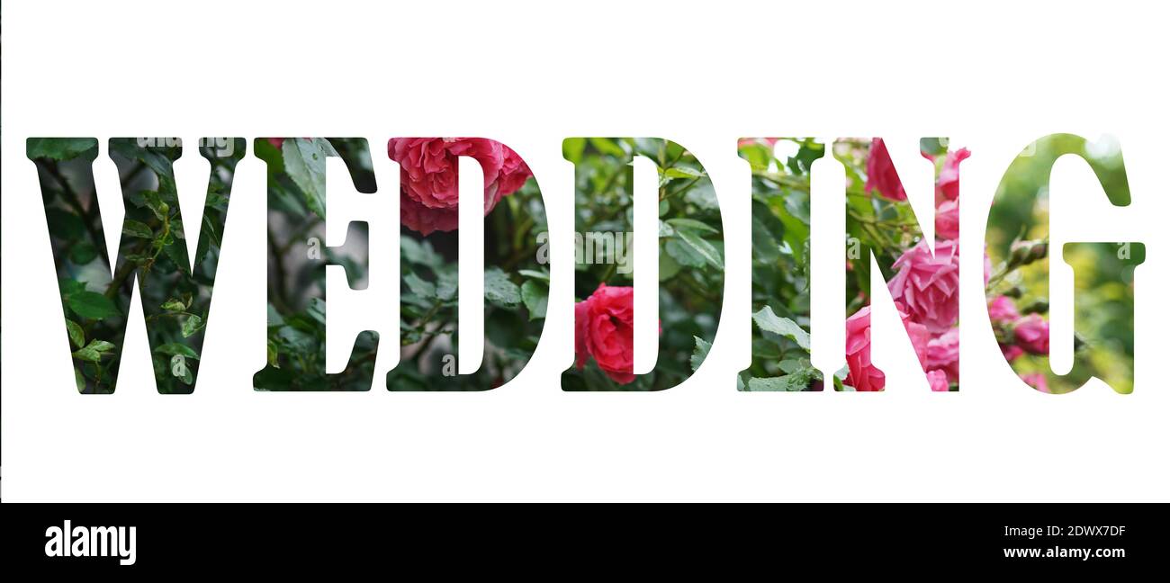 The word Wedding over pink flowers on white background. Great for ...