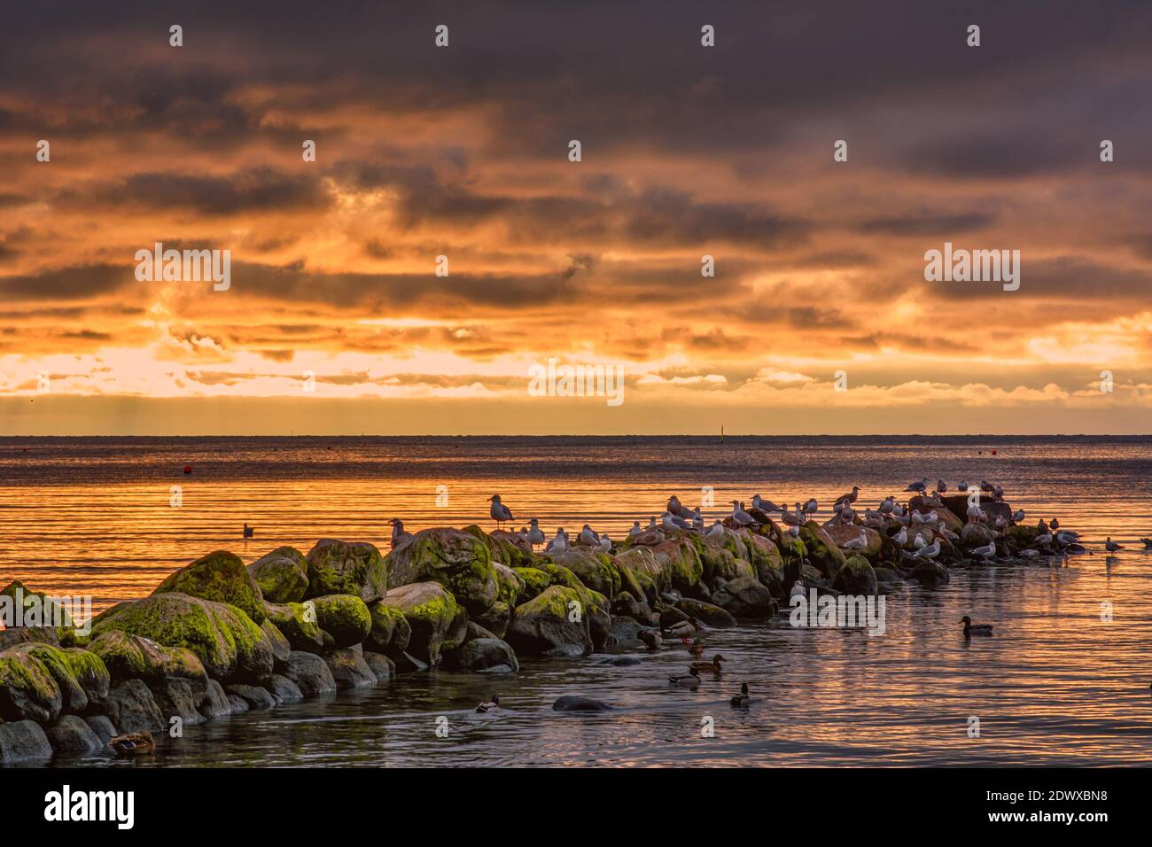 Hallevik sweden hi-res stock photography and images - Alamy