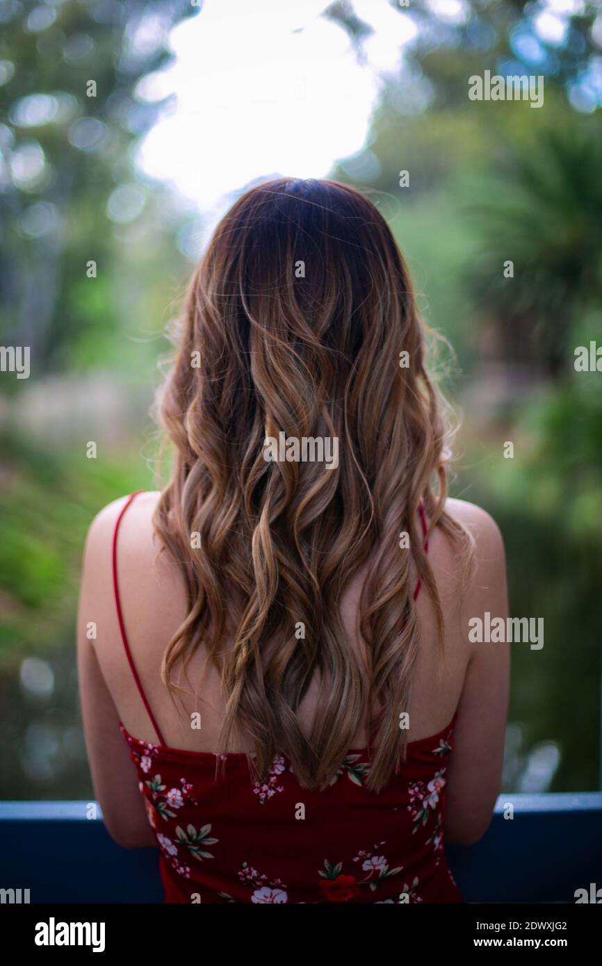 Back of woman's head hi-res stock photography and images - Alamy