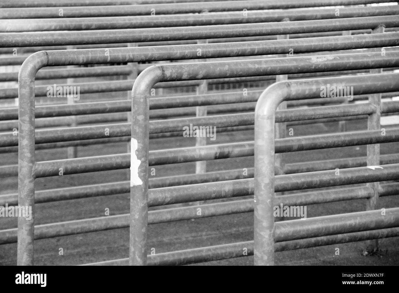 White metal railings Black and White Stock Photos & Images - Alamy