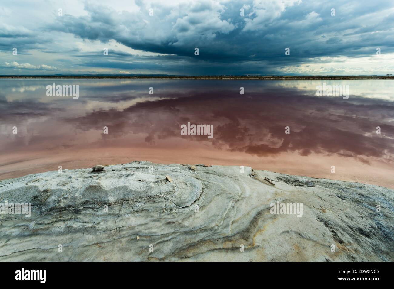 Nature reserve Saline Margherita di Savoia, Apulia, Italy Stock Photo ...