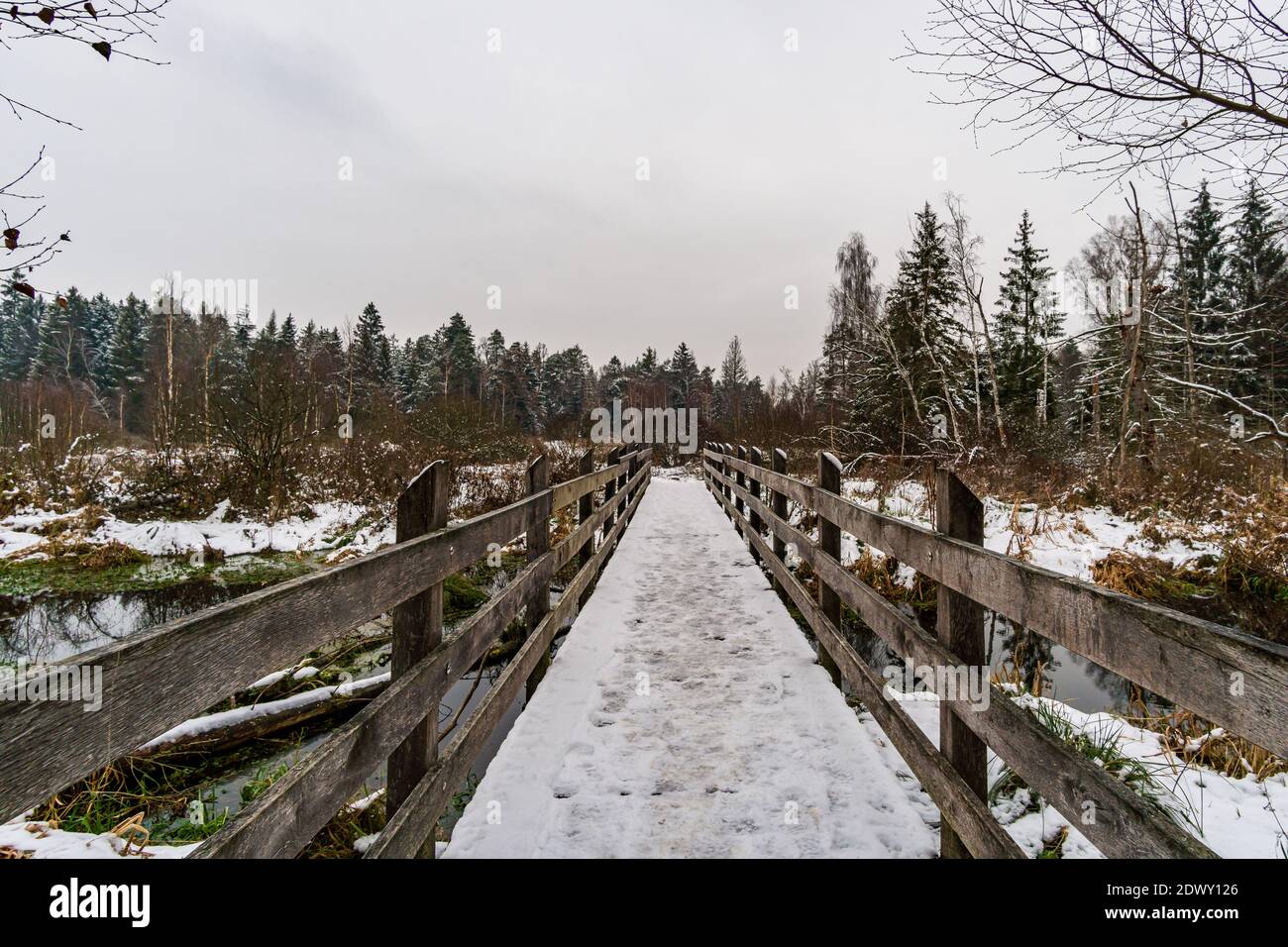Winter hike through the Pfrunger Ried to the Bannwald Tower near ...