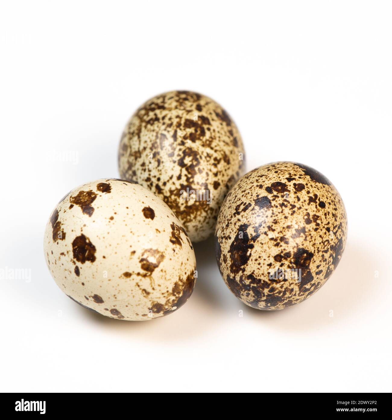 Spotty eggs Cut Out Stock Images & Pictures - Alamy