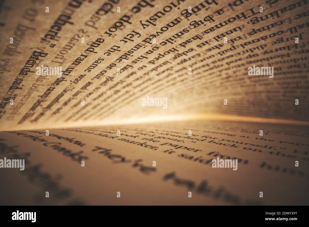 inside book between sheets of paper with text. wisdom and reading ...