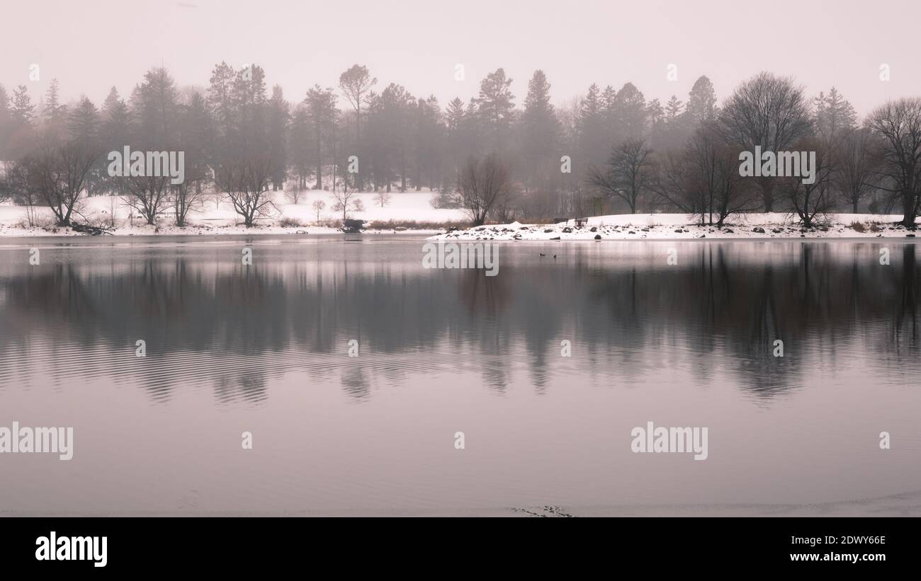 gloomy lake winter scene, colourless with sow and empty tree reflection ...
