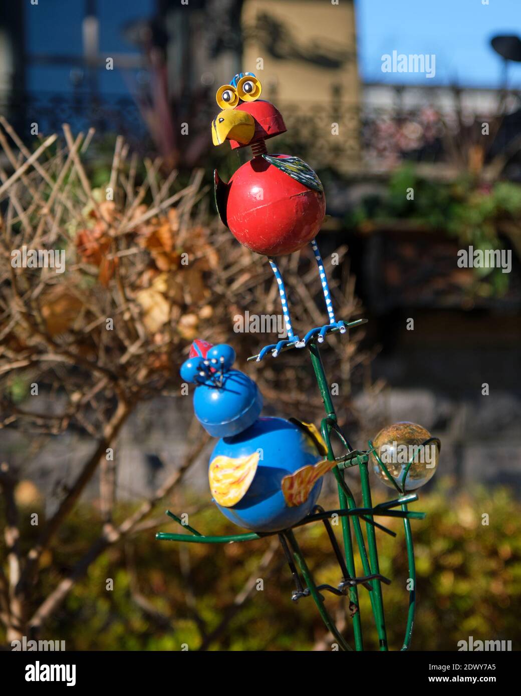 Fancy birds hi-res stock photography and images - Alamy