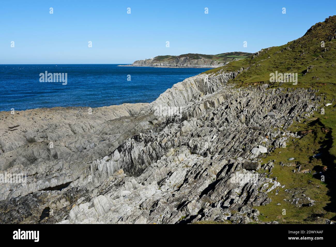 The jagged tip of Morte Point, Morthoe, North Devon, England Stock ...