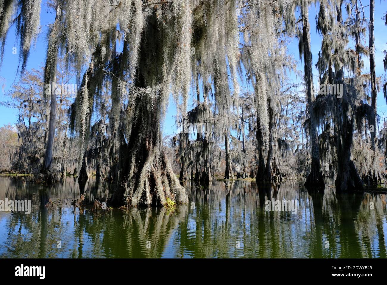 Breaux bridge louisiana hi-res stock photography and images - Alamy