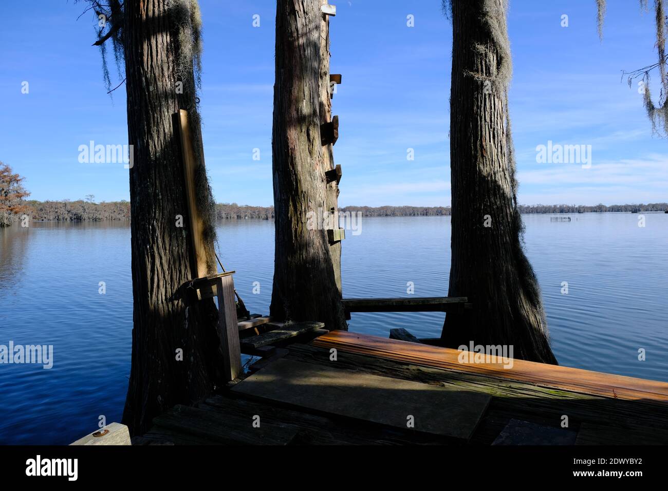 Treehouse bridge hi-res stock photography and images - Alamy
