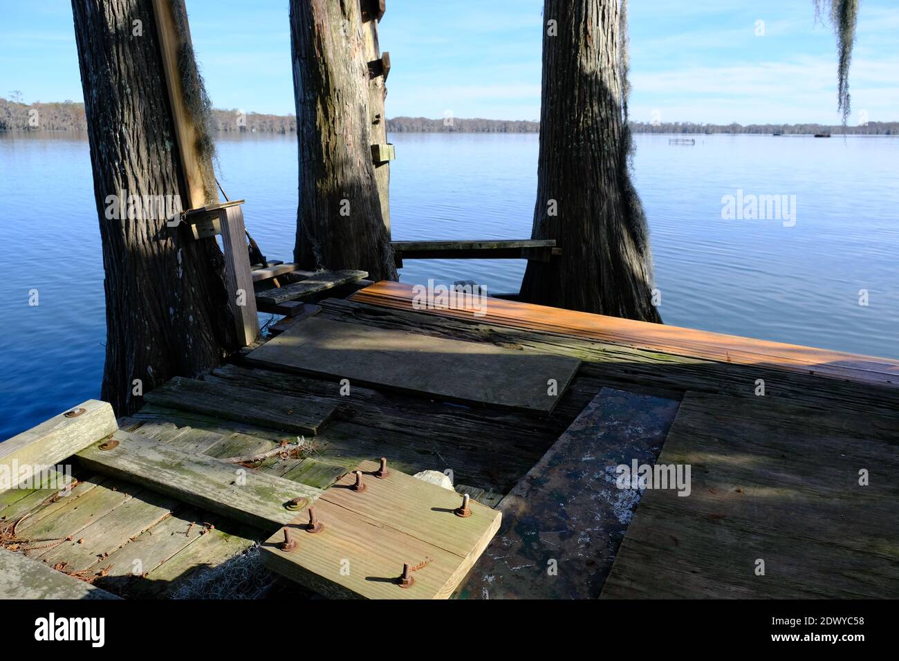 Lake Martin swamp tree house in Breaux Bridge Louisiana Stock Photo - Alamy