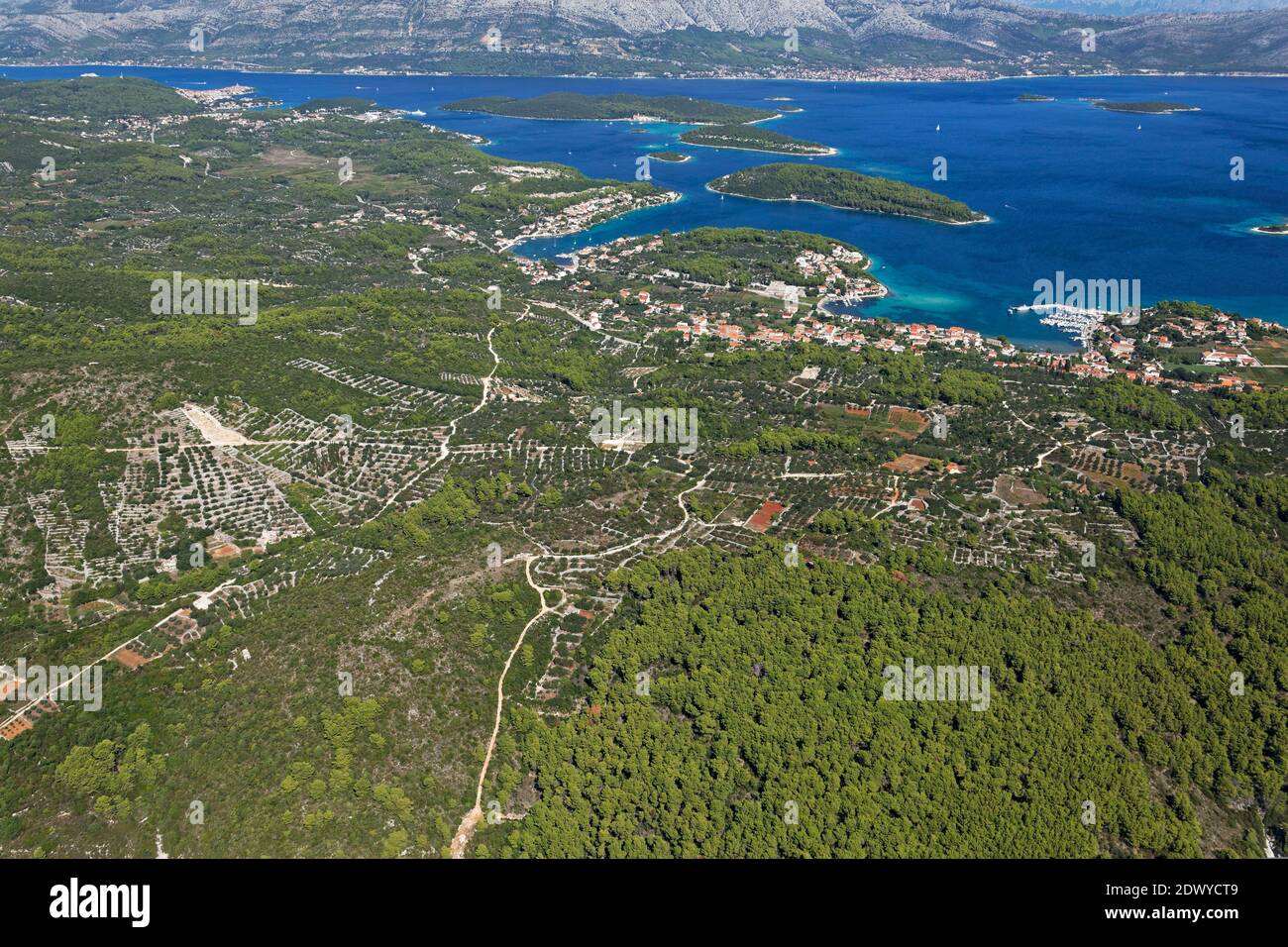 Coastline of Korcula island, Adriatic Sea, Croatia Stock Photo - Alamy