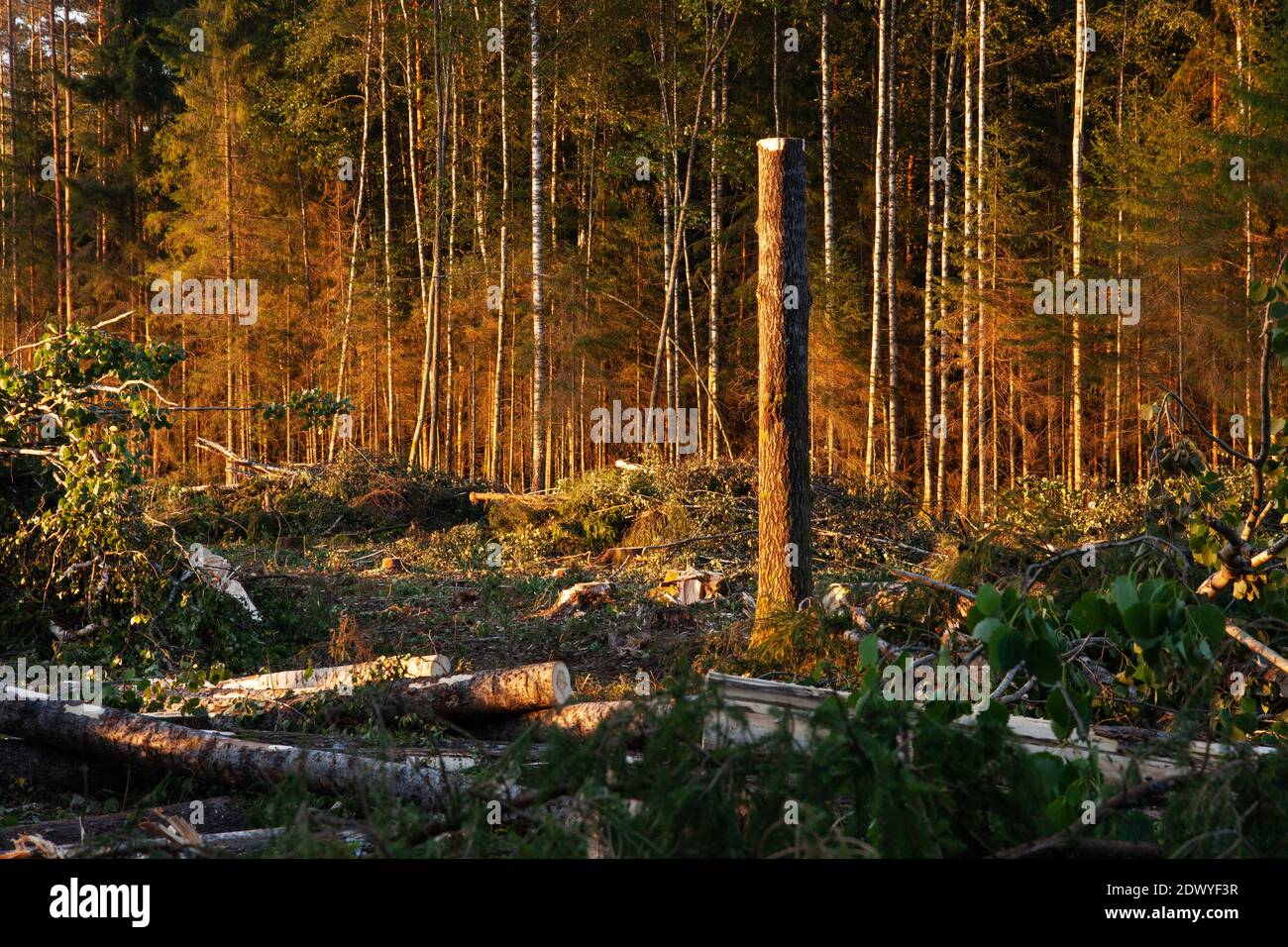 Resources exploitation hi-res stock photography and images - Alamy